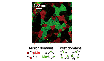 High-Precision Analysis of Microstructures in 2D Materials Using Electron Microscopy and Machine ...