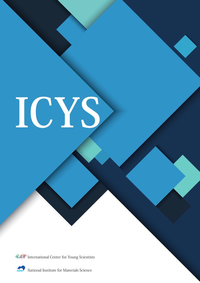 ICYS Brochure