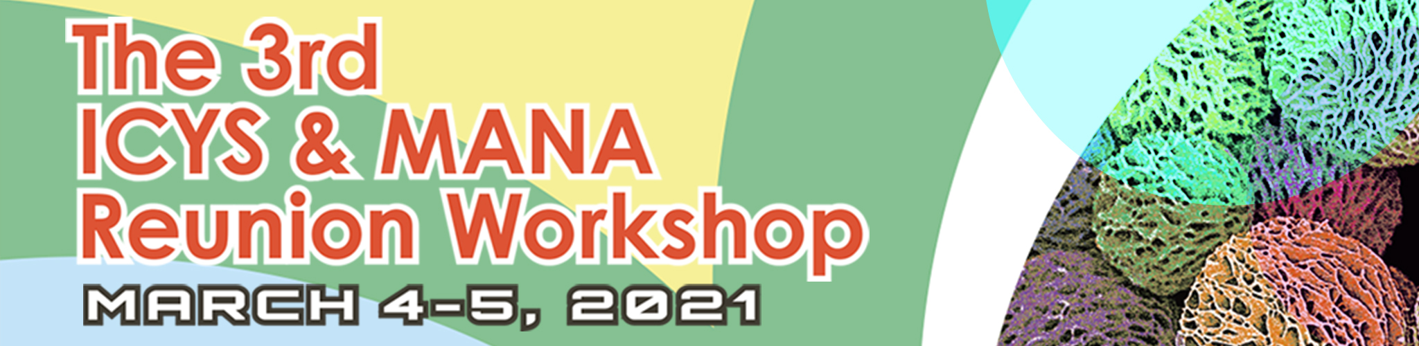 MANA INTERNATIONAL SYMPOSIUM 2021